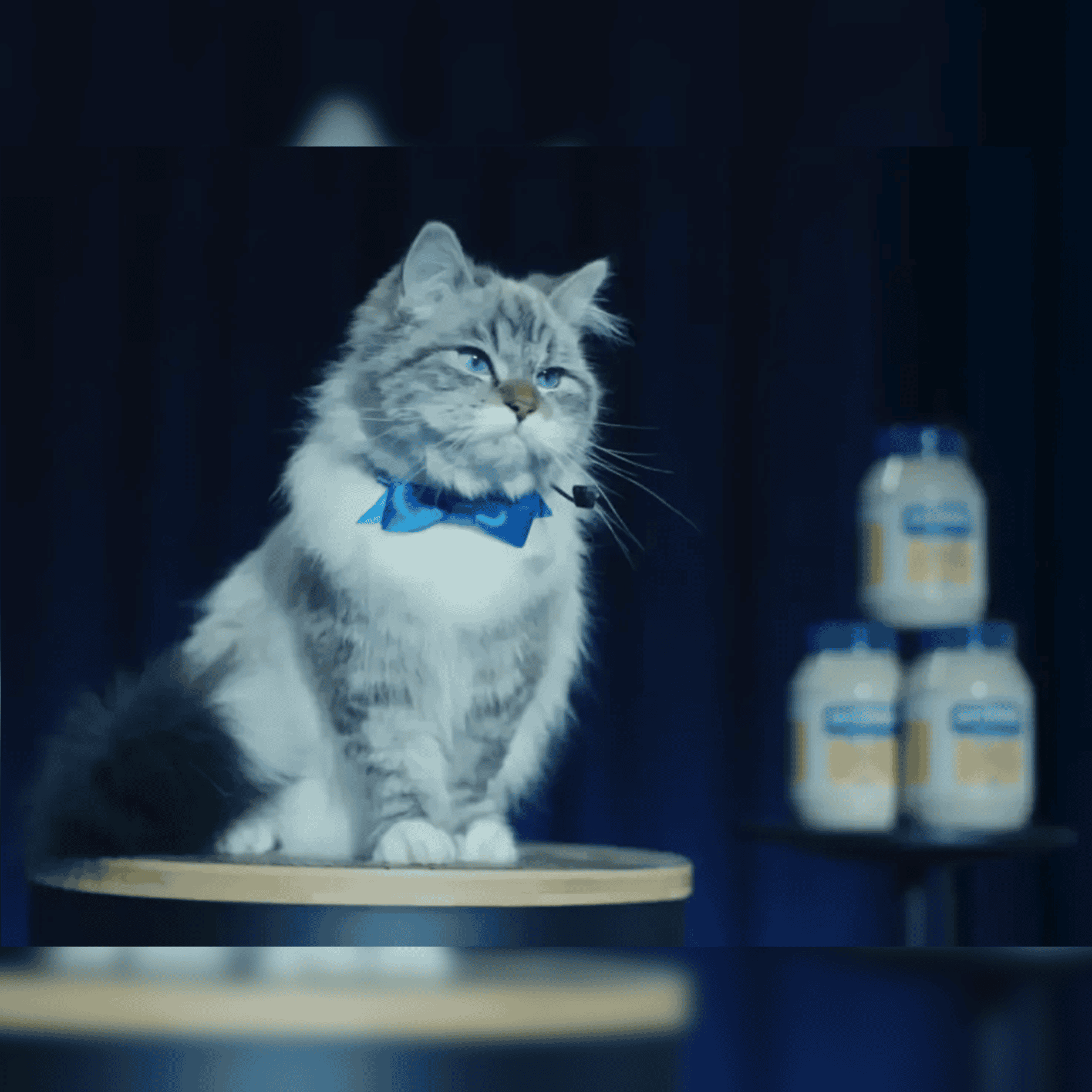 Hellmann’s Mayo Cat | Festival Of Media